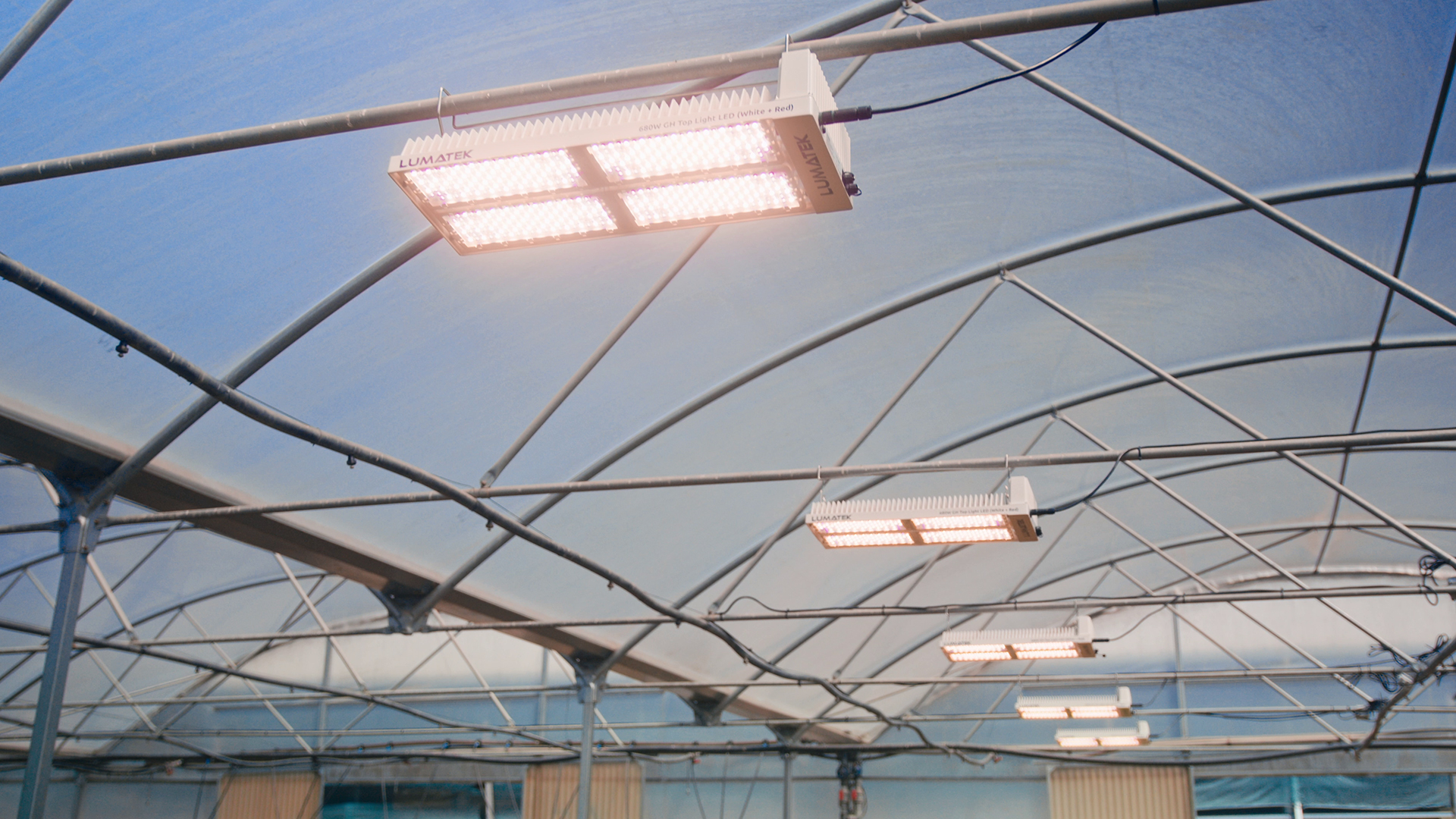 Artificial Horticulture LED Lighting in Greenhouses 🌿💡 - Lumatek ...