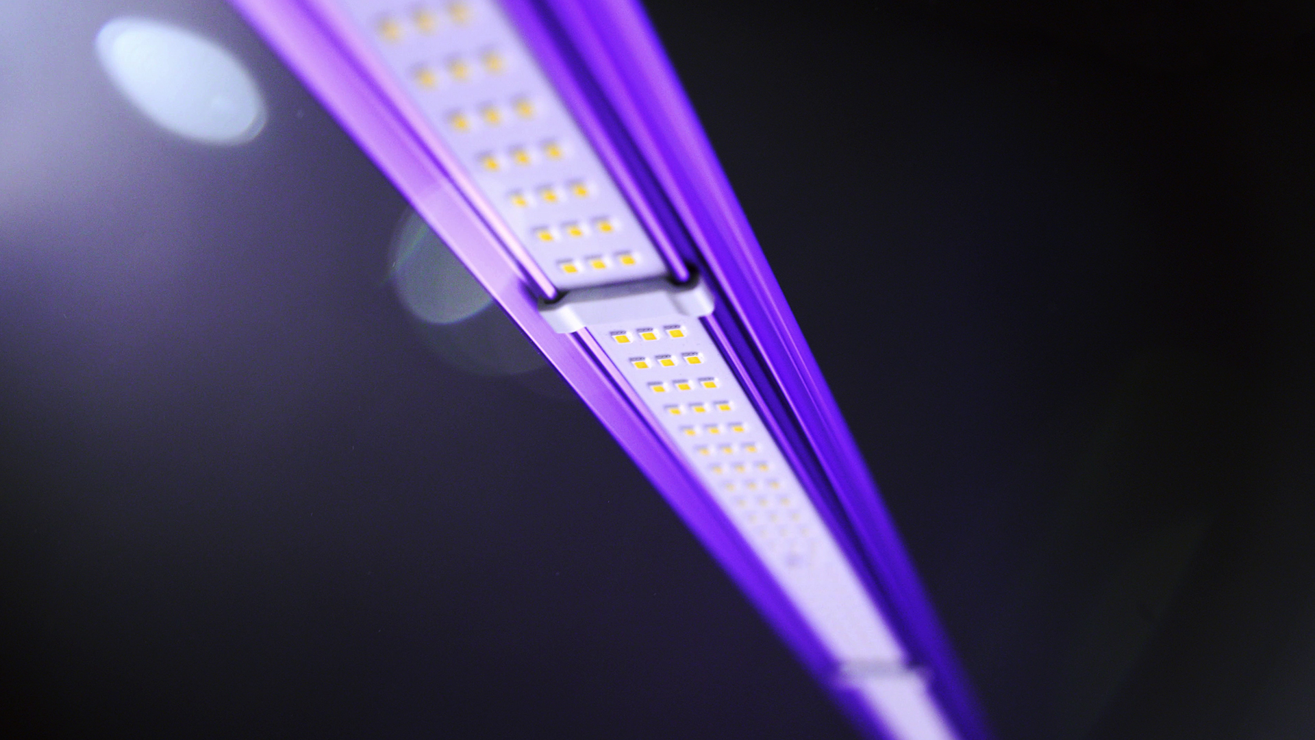 Understanding Horticultural Lighting: LED vs HPS & CMH 💡 - Lumatek ...